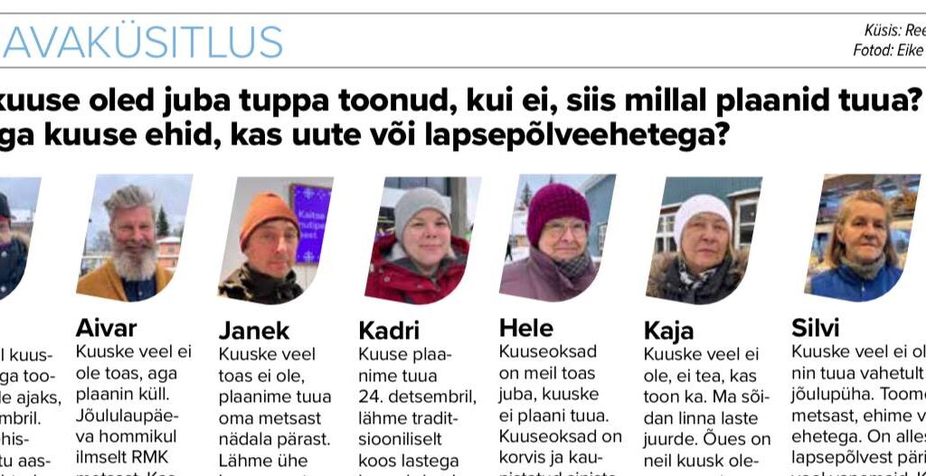KÜSITLUS | Kas kuuse oled juba tuppa toonud, kui ei, siis millal ...